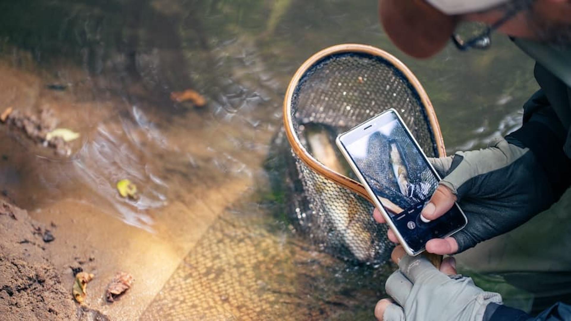 angelflix - Die Software für deinen Angelverein