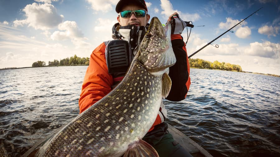 angelflix - Die Software für deinen Angelverein